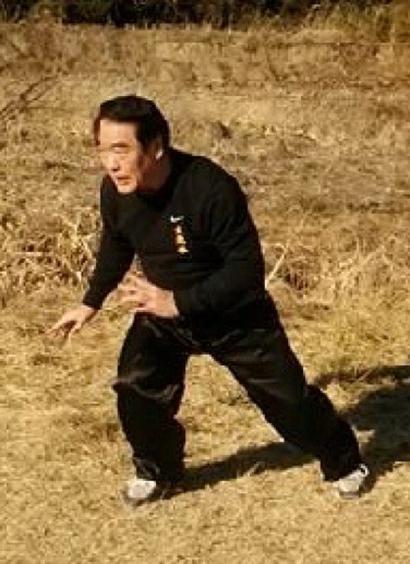 Norimasa Iwama, first generation Taikiken of Kenichi Sawai